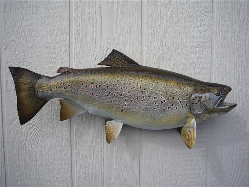 Trophy Trout Guide - The Finest Trophy Trout Taxidermy!