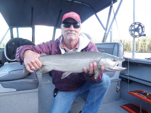 Trophy Trout Guide - Your Source for All Things Trophy Trout!