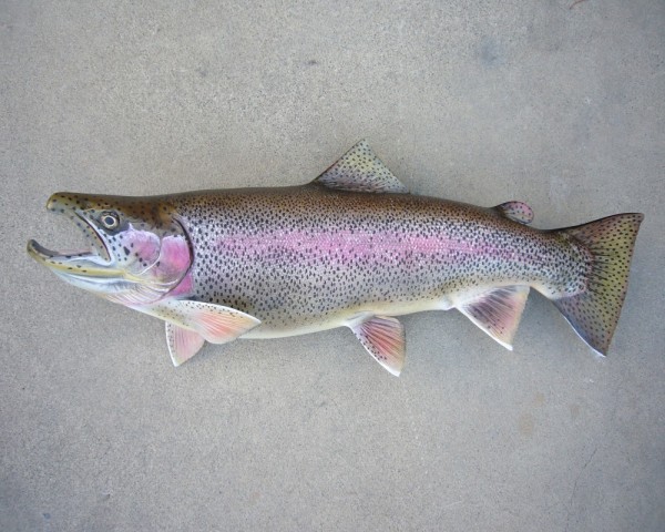 Trophy Trout Guide - The Finest Trophy Trout Taxidermy!