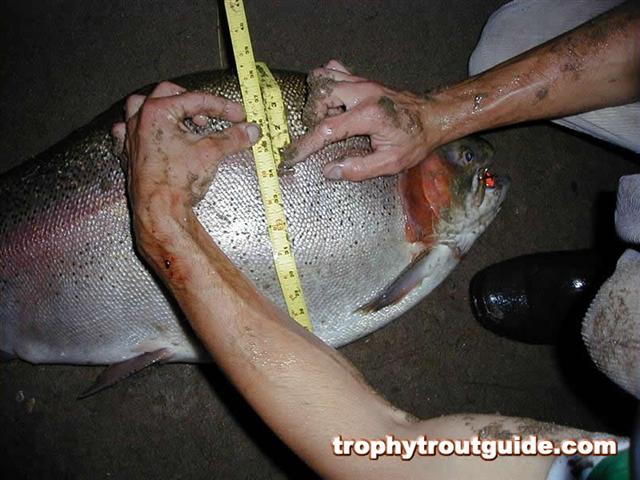 Trophy Trout Guide - Your Source for All Things Trophy Trout!
